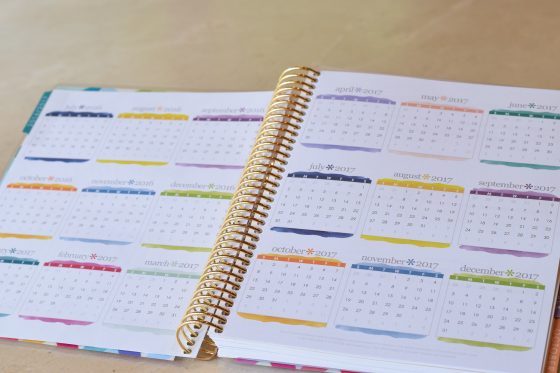 Erin Condren 2017 Life Planner Review {& sneak peek} | Wildflowers and ...