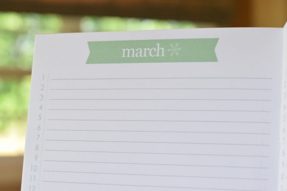 Erin Condren 2017 Life Planner Review {& sneak peek} | Wildflowers and ...