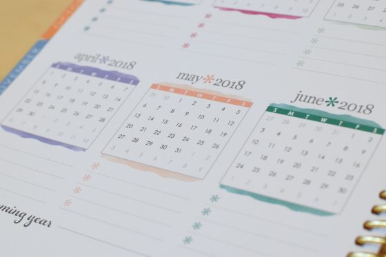 Erin Condren 2017 Life Planner Review {& sneak peek} | Wildflowers and ...