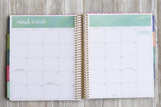 Review of the 2017-2018 Erin Condren Life Planner | Wildflowers and Marbles