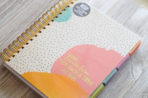 2017 Dayspring Planner Review | Wildflowers and Marbles