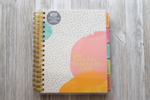 2017 Dayspring Planner Review | Wildflowers and Marbles