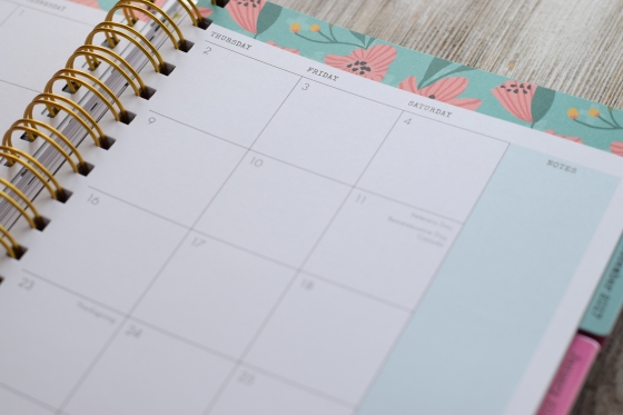 2017 Dayspring Planner Review | Wildflowers and Marbles