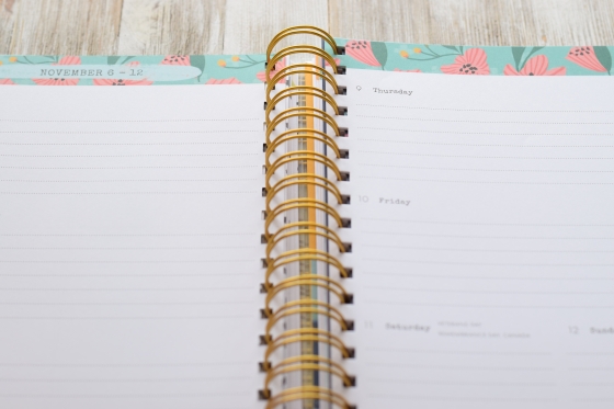 2017 Dayspring Planner Review | Wildflowers and Marbles