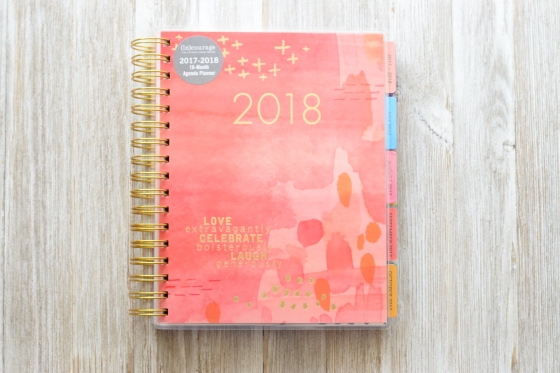 2017 Dayspring Planner Review | Wildflowers and Marbles