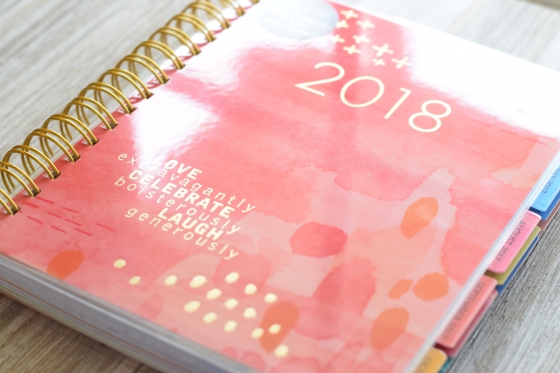 2017 Dayspring Planner Review | Wildflowers and Marbles