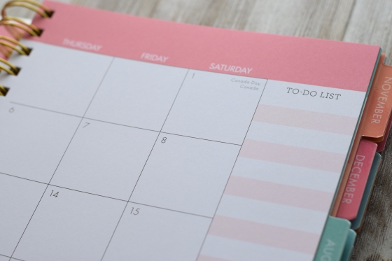 2017 Dayspring Planner Review | Wildflowers and Marbles