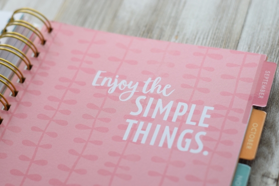 2017 Dayspring Planner Review | Wildflowers and Marbles