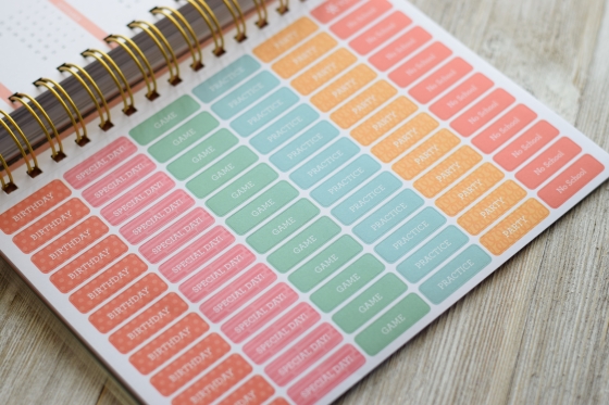 2017 Dayspring Planner Review | Wildflowers and Marbles