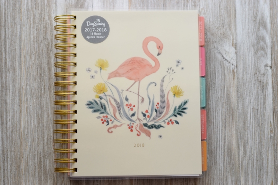 2017 Dayspring Planner Review | Wildflowers and Marbles