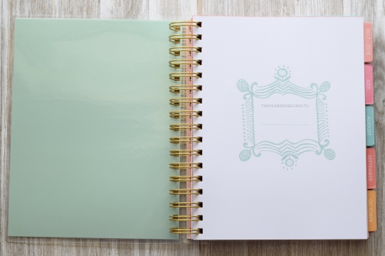 2017 Dayspring Planner Review | Wildflowers and Marbles