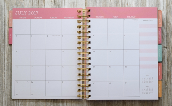 2017 Dayspring Planner Review | Wildflowers and Marbles