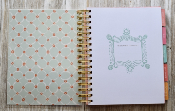 2017 Dayspring Planner Review | Wildflowers and Marbles