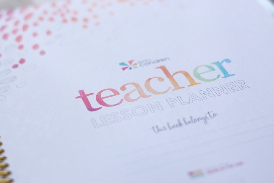 Review: Erin Condren 2017 Teacher Lesson Planner | Wildflowers and Marbles