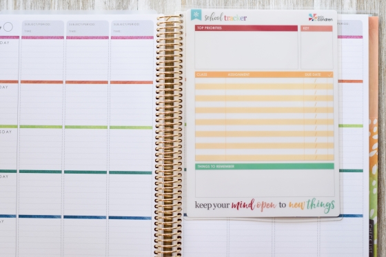 Review: Erin Condren 2017 Teacher Lesson Planner | Wildflowers and Marbles