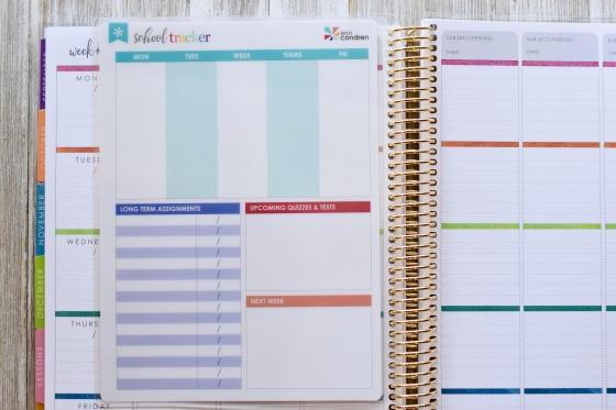 Review: Erin Condren 2017 Teacher Lesson Planner | Wildflowers and Marbles