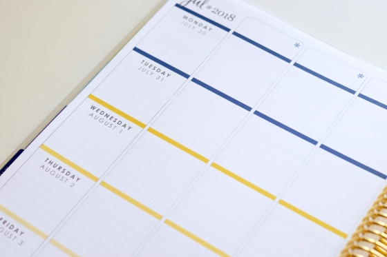 Erin Condren 2018-2019 Teacher Lesson Planner Review – Brand New Layout ...