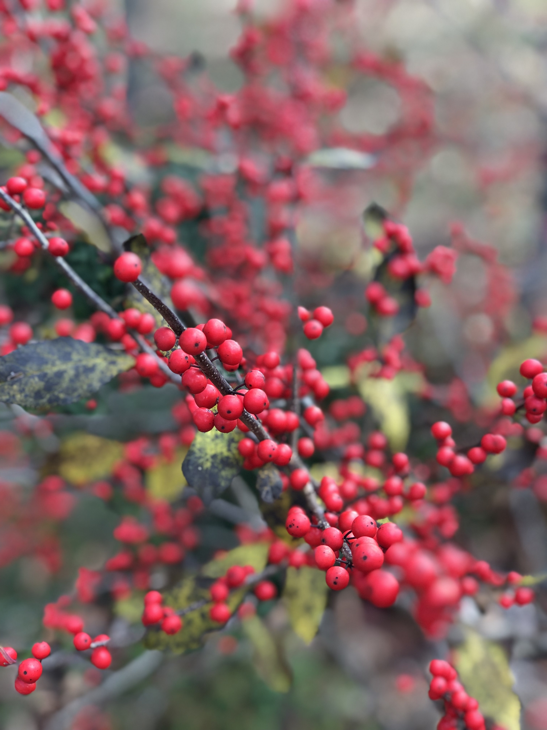 Lost in Homeschooling? Apply the Philosophy of Wonder | Wildflowers and ...